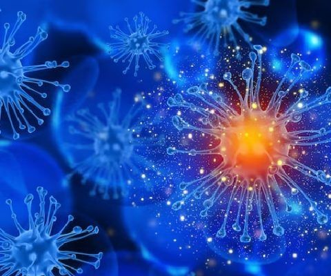 Sistema immunitario: cos'è e come funziona | Flomax